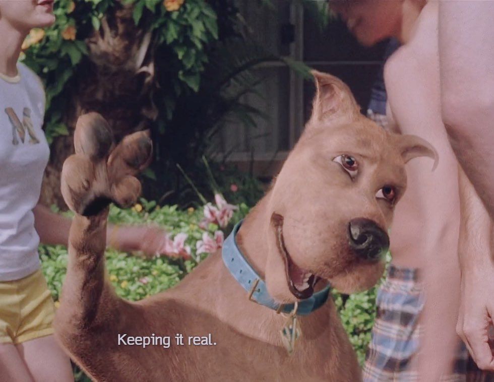 What up dawg and uh.. dog..? – THEINSIDEDOGS